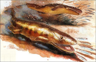 Blog de la Vida Prehistórica: Los Primeros Tetrápodos