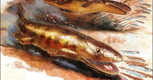 Blog de la Vida Prehistórica: Los Primeros Tetrápodos