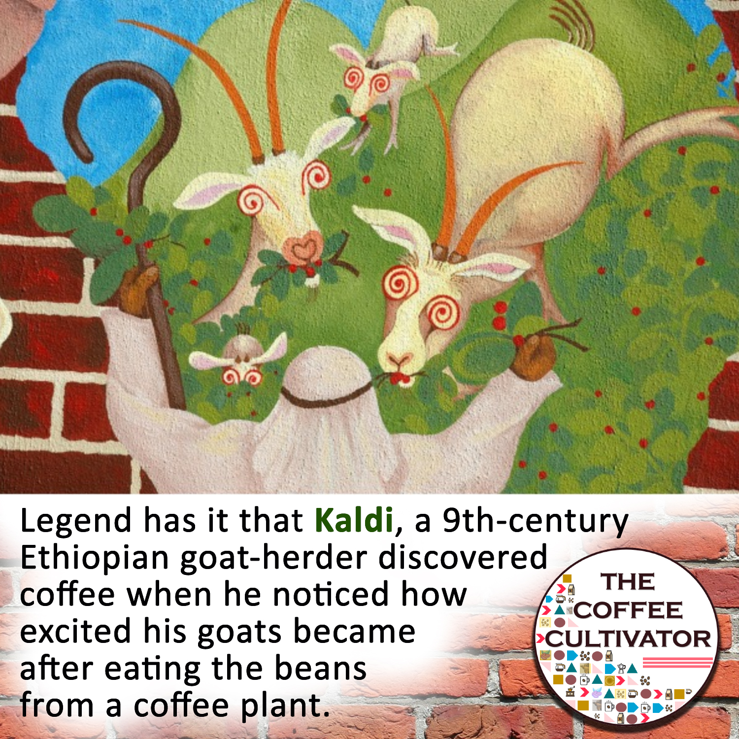 Coffee and Goats - The Coffee Cultivator