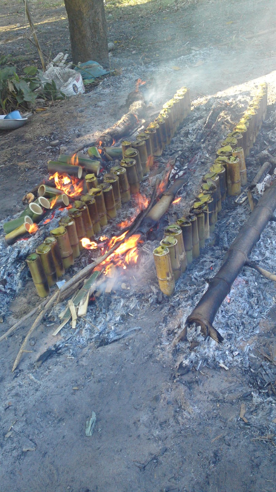 Cooking in Small Spaces: Binungey- Rice meal-to-go Pangasinan style