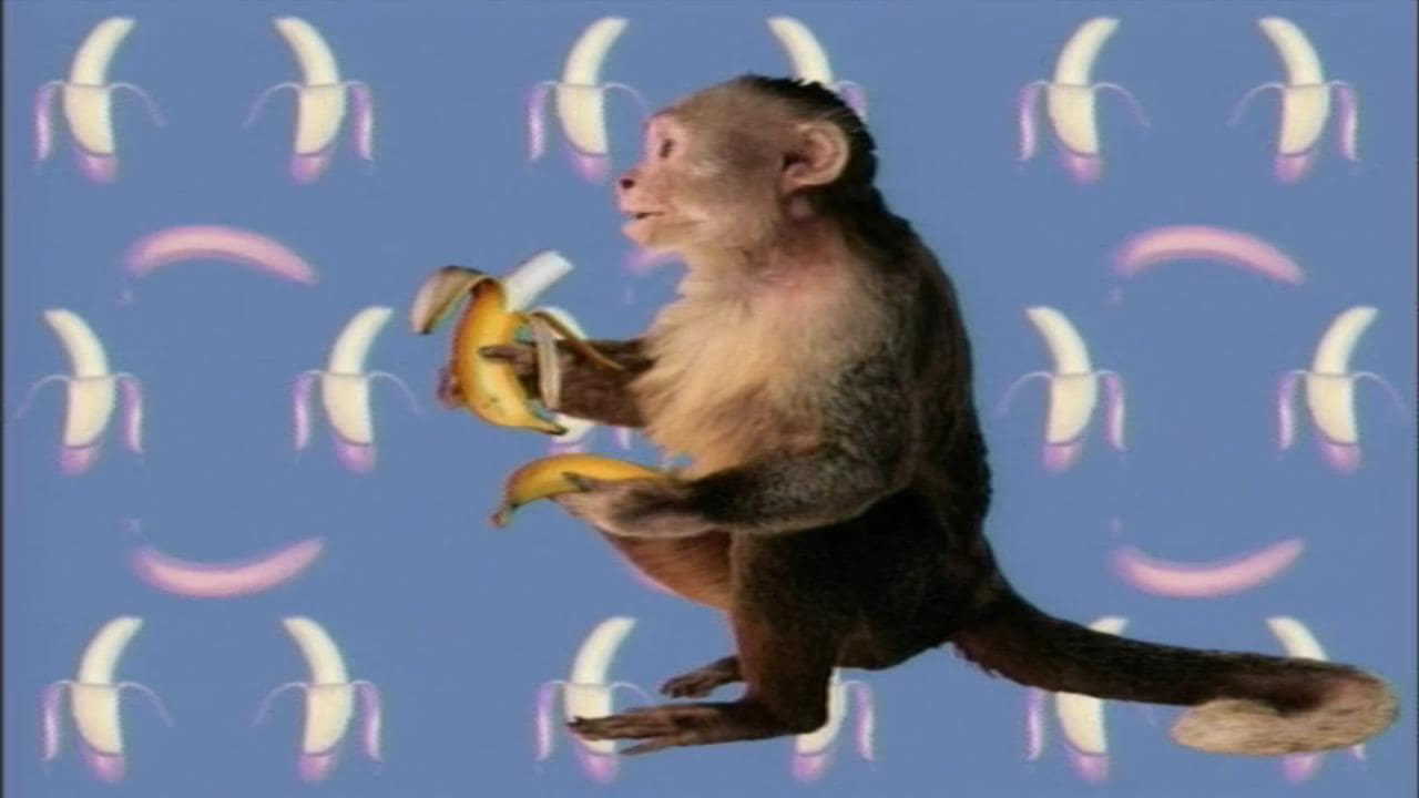 Watch Elmo's World Bananas