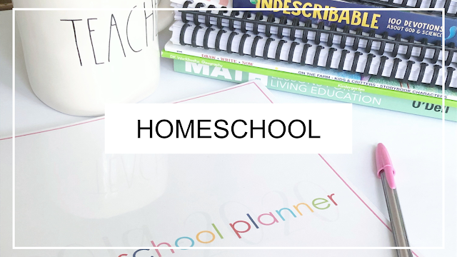 Homeschool Curriculum Choices for Preschool & Kindergarten 2019-2020 ...