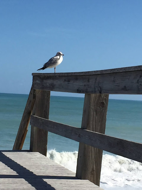 Salvador Dalí - The Broken Bridge and the Dream
