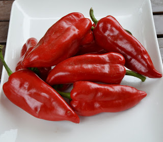 Piquillo Peppers - Chili Peppers
