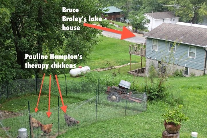 EBL: The chickens that could flip the U.S. Senate: Democrat Bruce ...