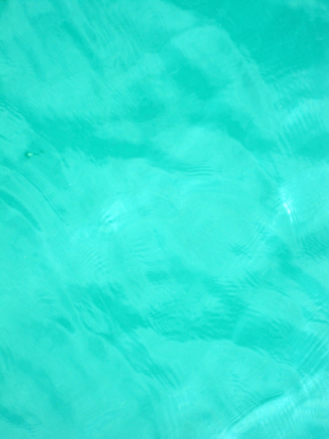 s/v El Tiburon : Bahia Aqua Verde