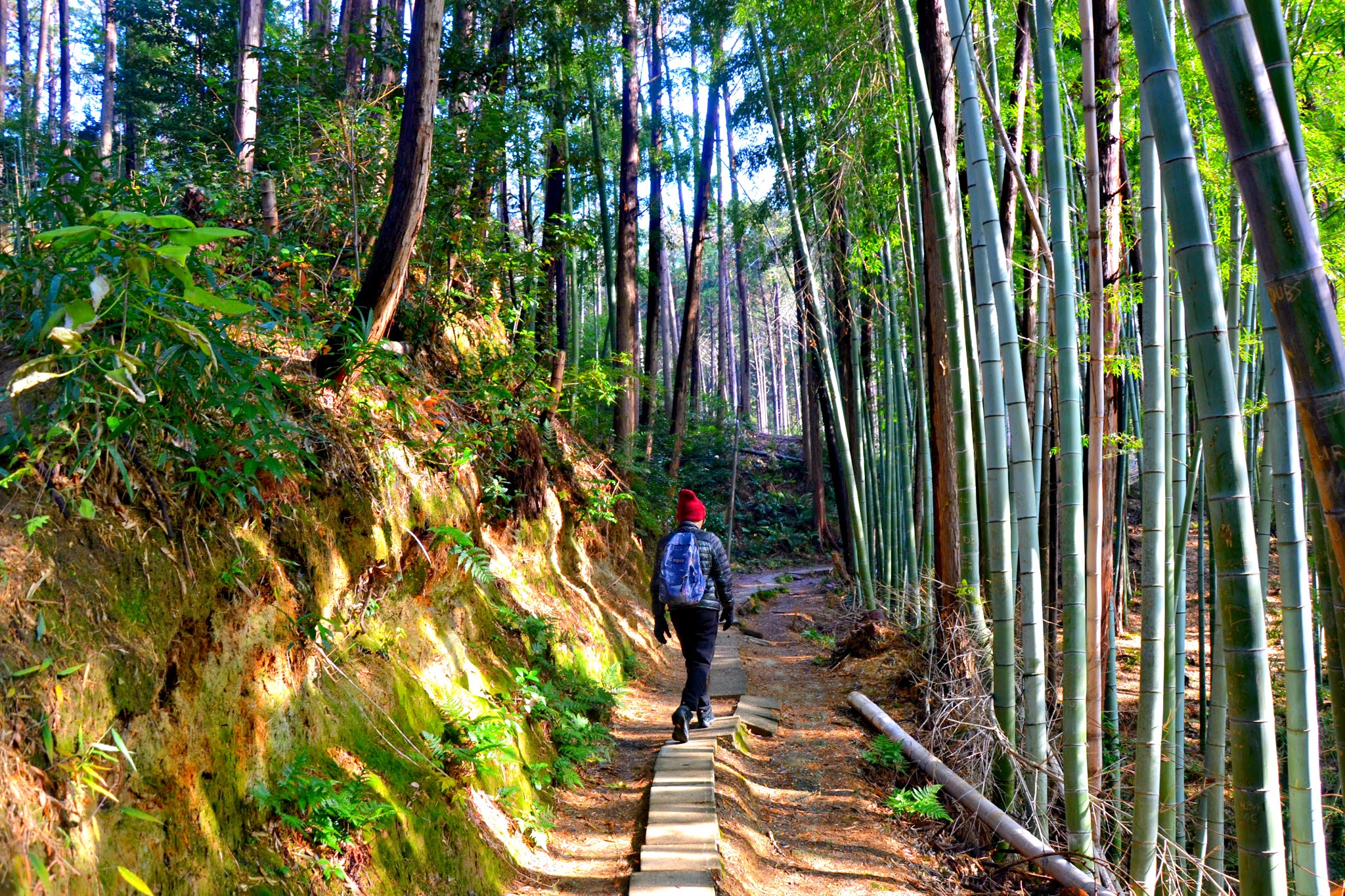 Hiking Mt. Inari