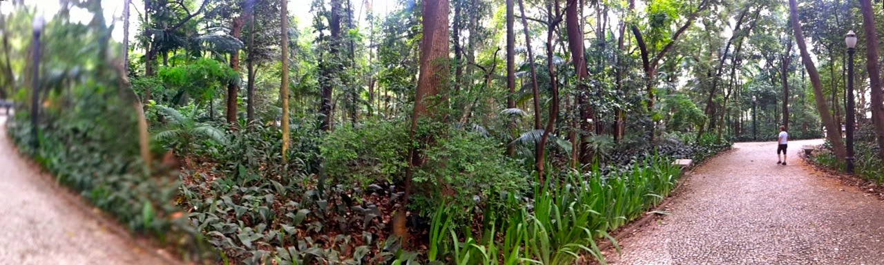 Parque Trianon ou Tenente Siqueira Campos em São Paulo ~ Áreas Verdes ...
