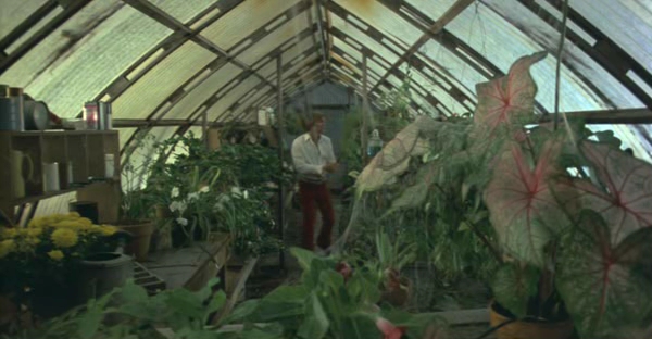 Todo El Terror Del Mundo: Ranas Asesinas (Frogs) (George McCowan, EEUU ...