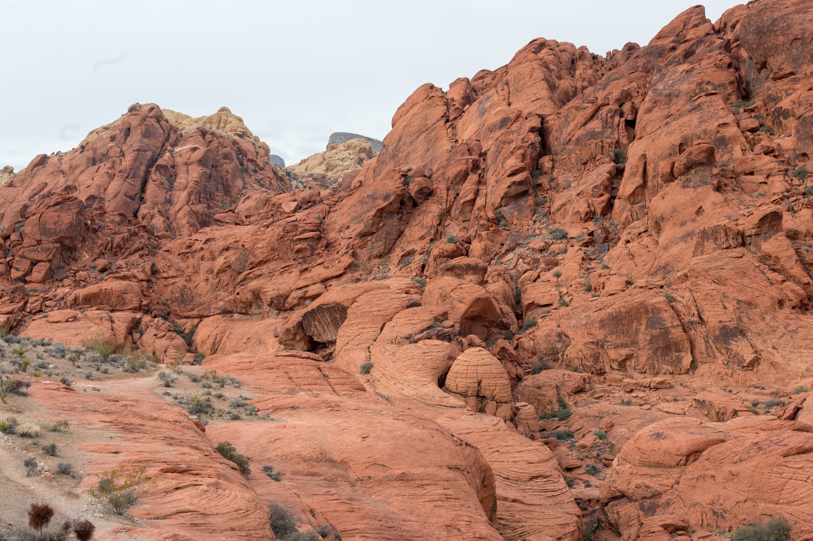 Shot of the Day: The Igloo
