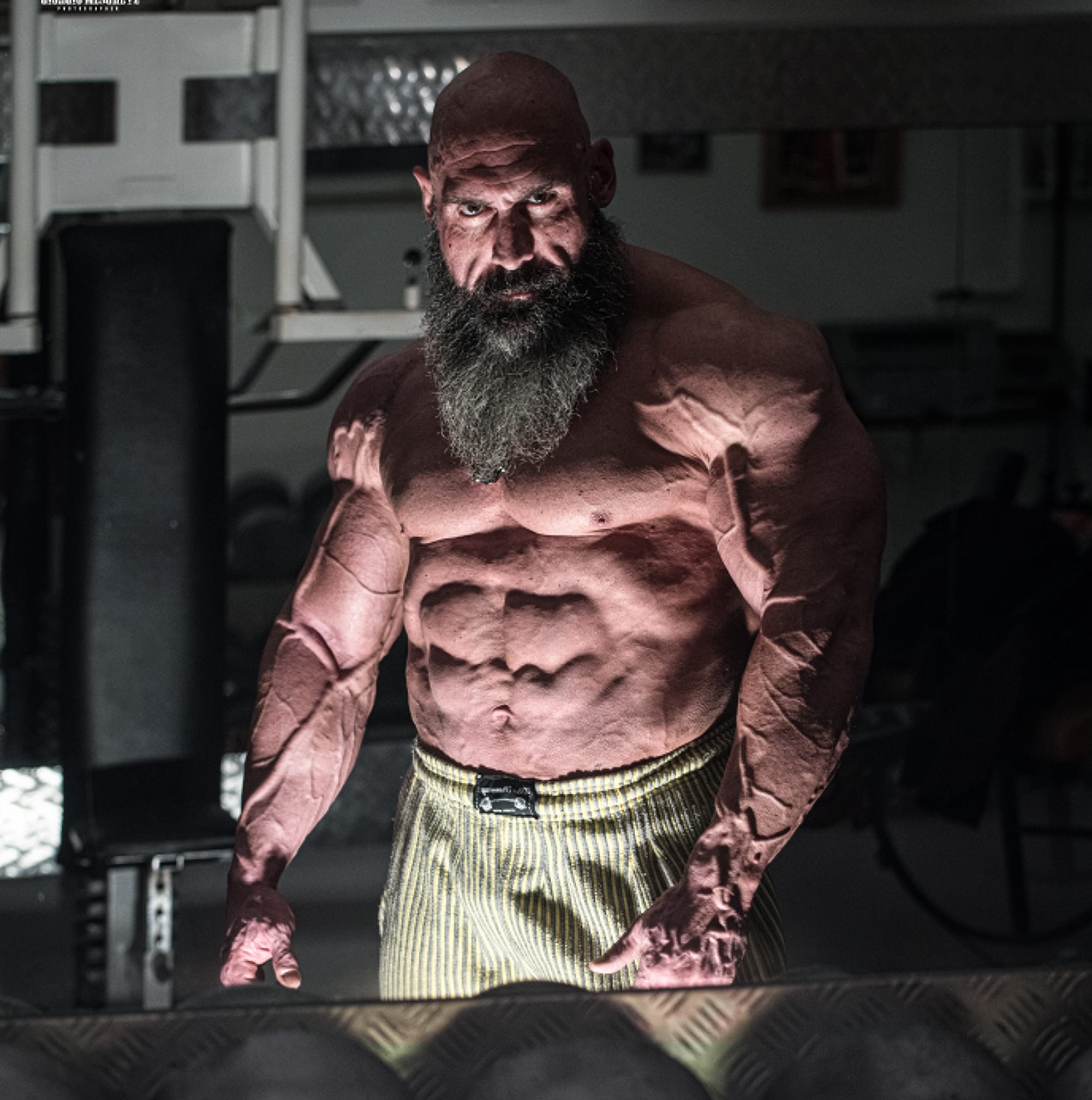 Word wide Bodybuilder Images| Best World WIde Bodybuilders