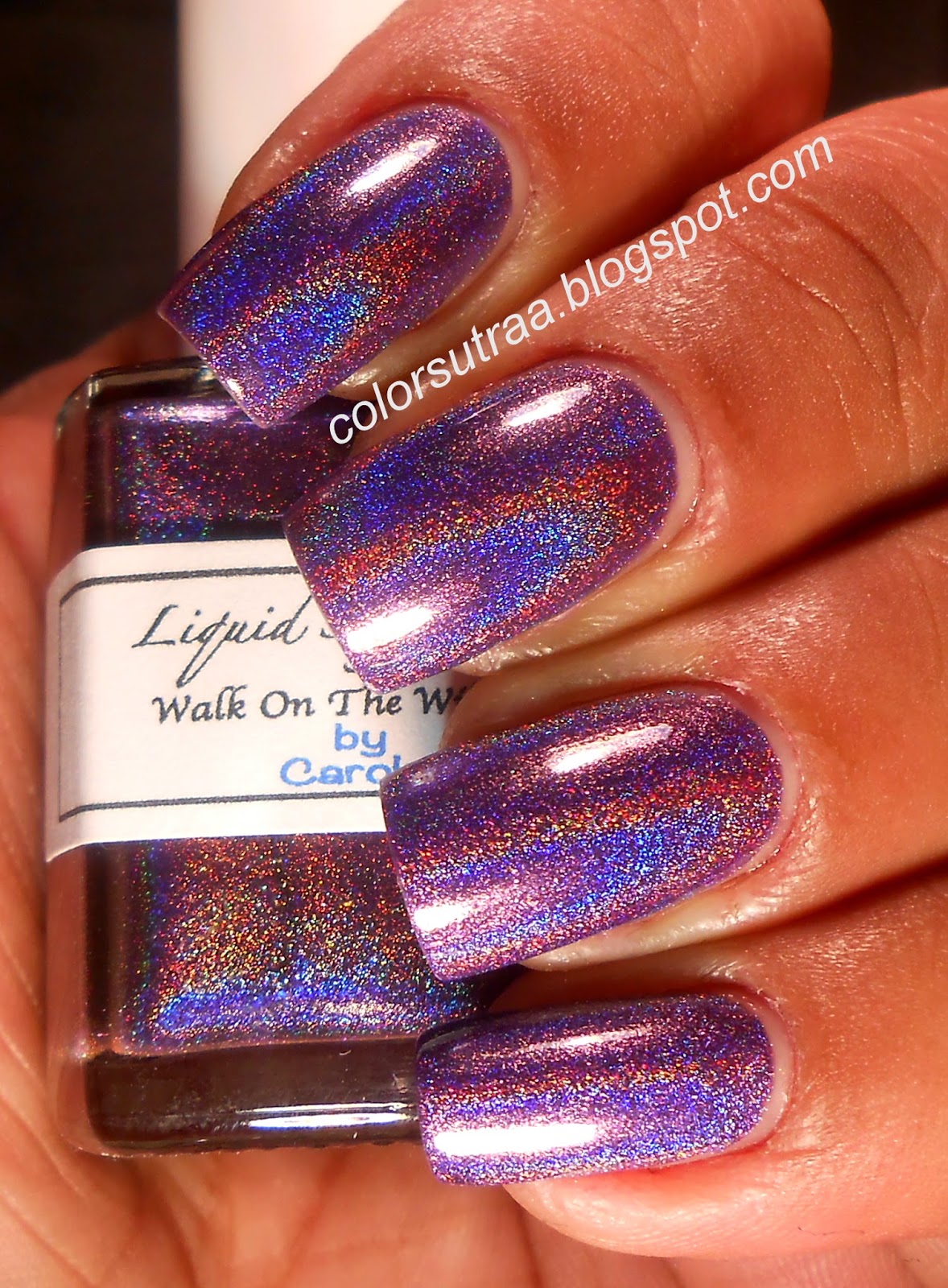 LIQUID SKY LACQUER Part III : Bri's Hella Holo, Walk on the Wild Side ...