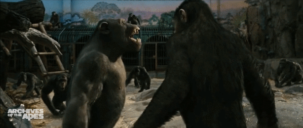 Archives Of The Apes: Rise Of The Planet Of The Apes (2011) Part 50