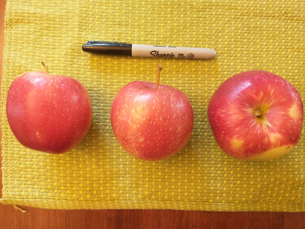Grading and Sorting Apples for Direct-to-Customer Sales