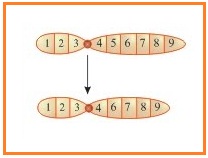 Mutasi Pada Makhluk Hidup: Soal Mutasi Pada Makhluk Hidup