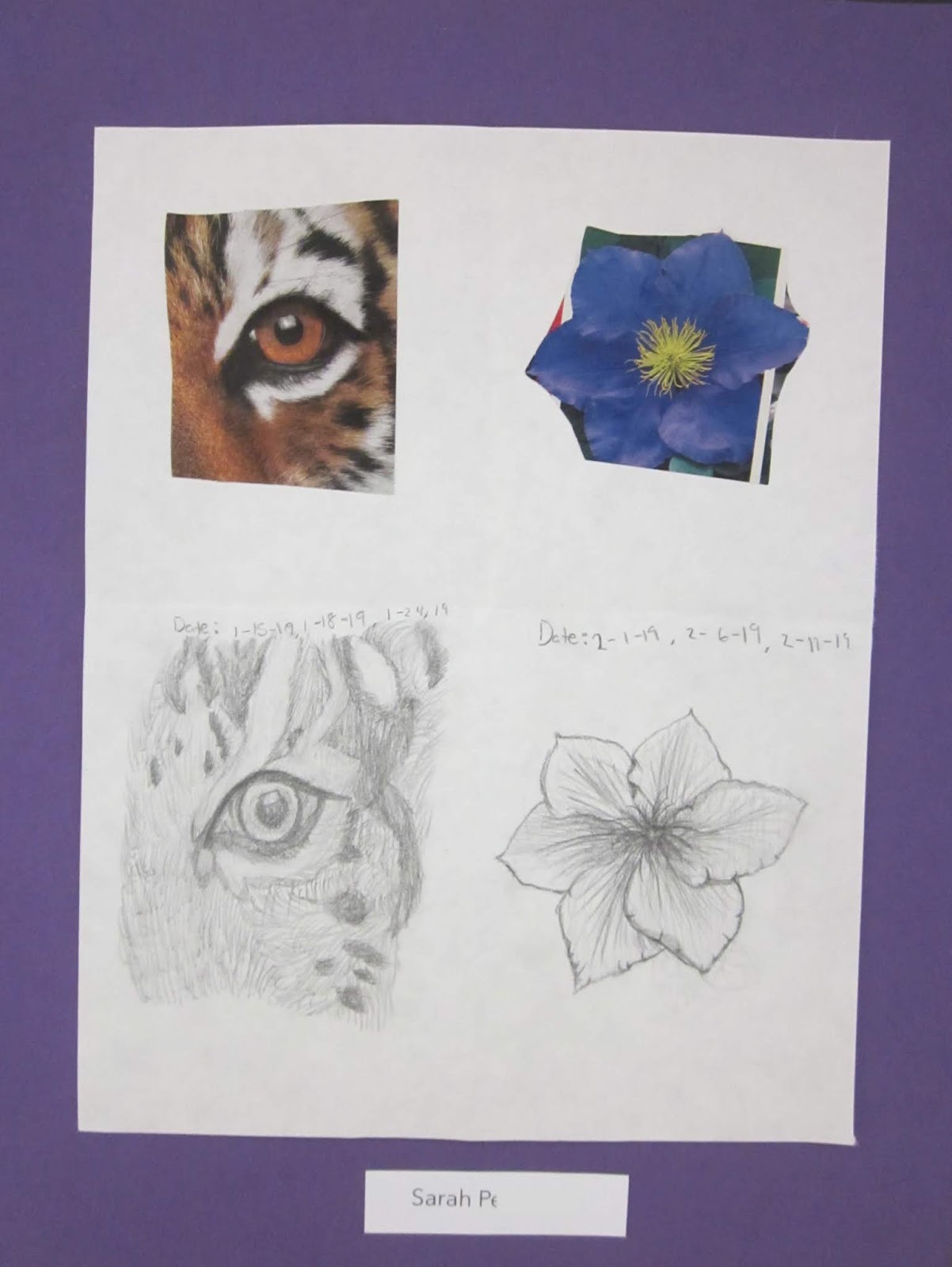 Student Art Gallery: 2019 Photo Finish Drawings