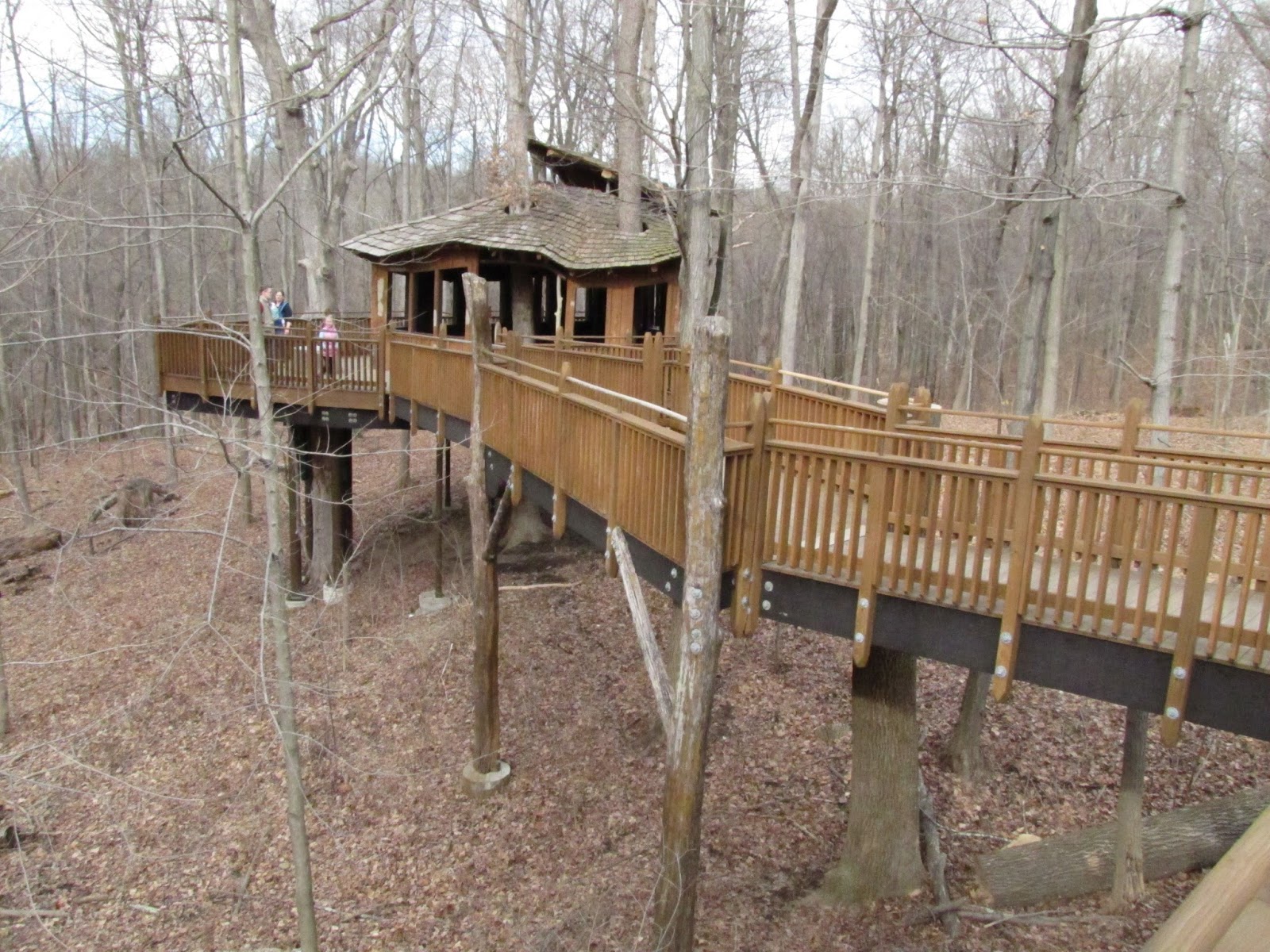 Pinehaven - Farmersville, Ohio: Mt. Airy Forest: Everybody's Treehouse