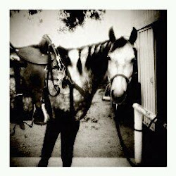 Cowgirl Visionary: "Saddlebronc Girl" Cowgirl Profile: Kaila Mussell