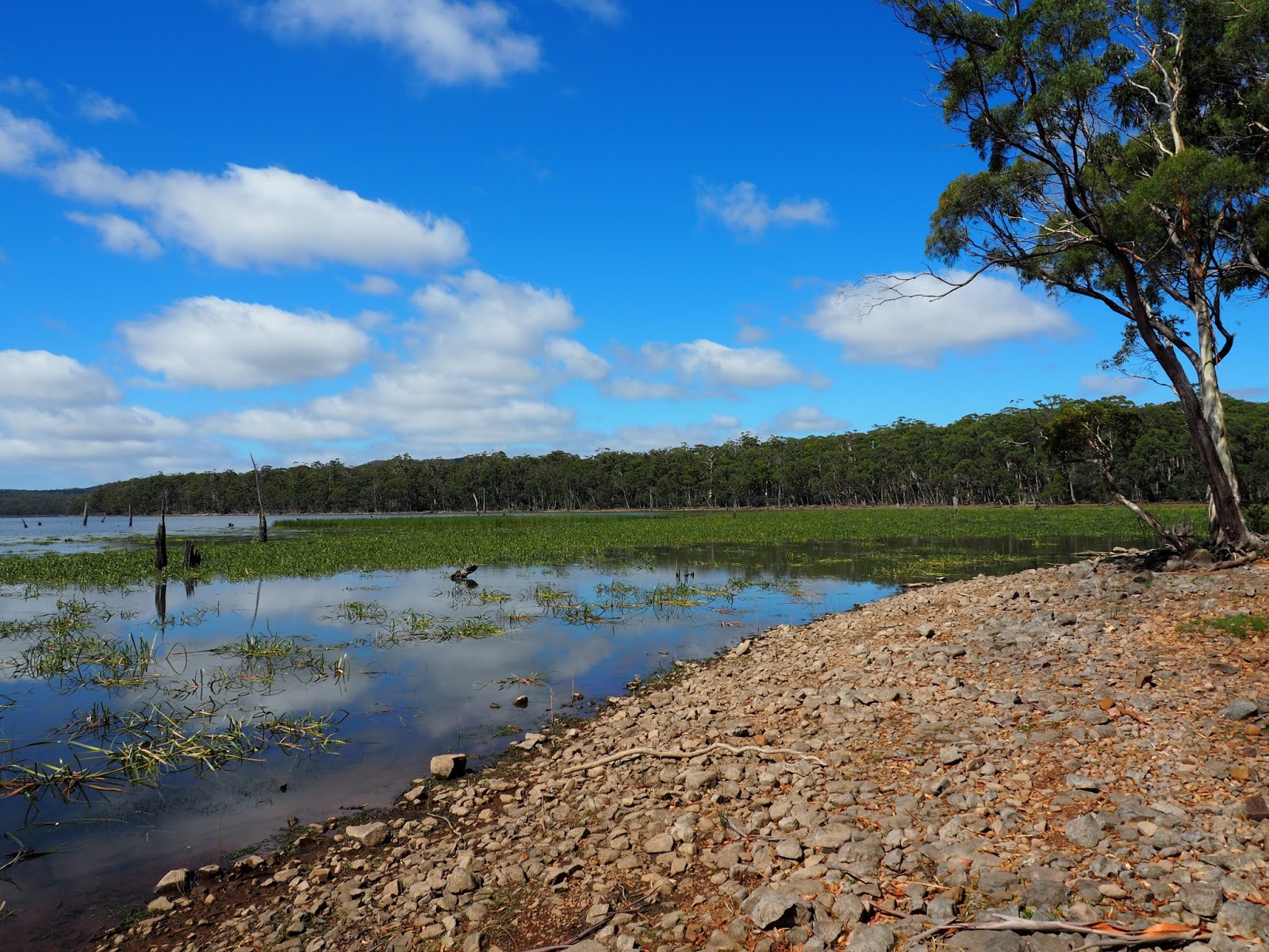 Tooms Lake | Hiking South East Tasmania