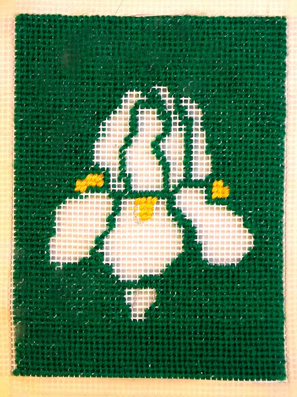 Adventures In Assisi Work | Cuttings from Annake's Garden