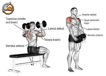 The Ultimate Superset Shoulder Workout