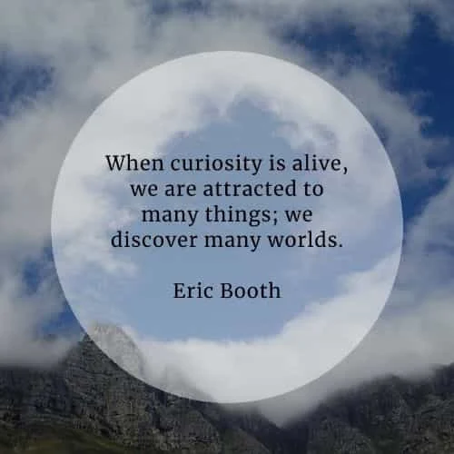 60 Curiosity quotes that'll help you achieve great things