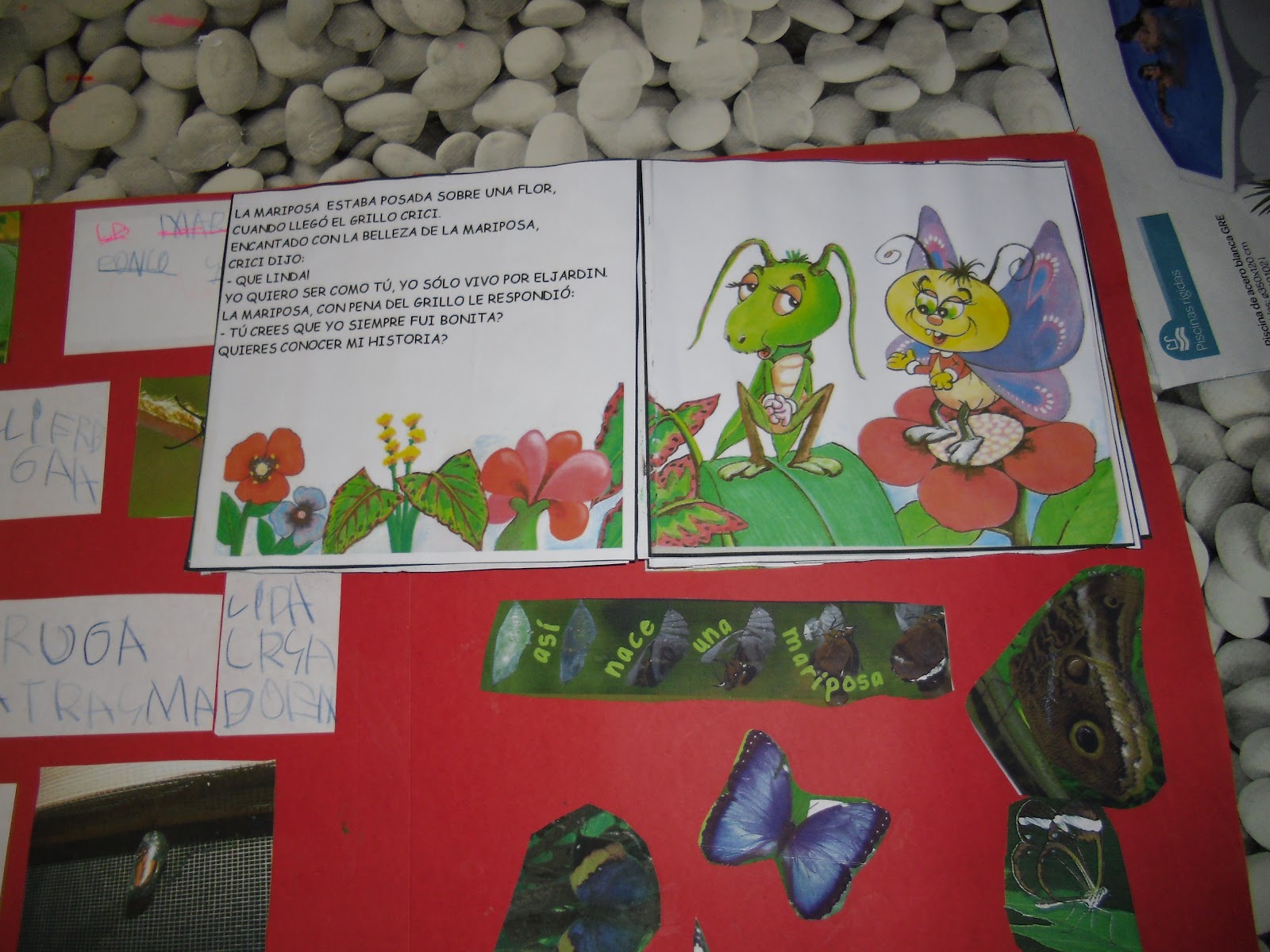 Trasteando en casa: Lapbook de Mariposa