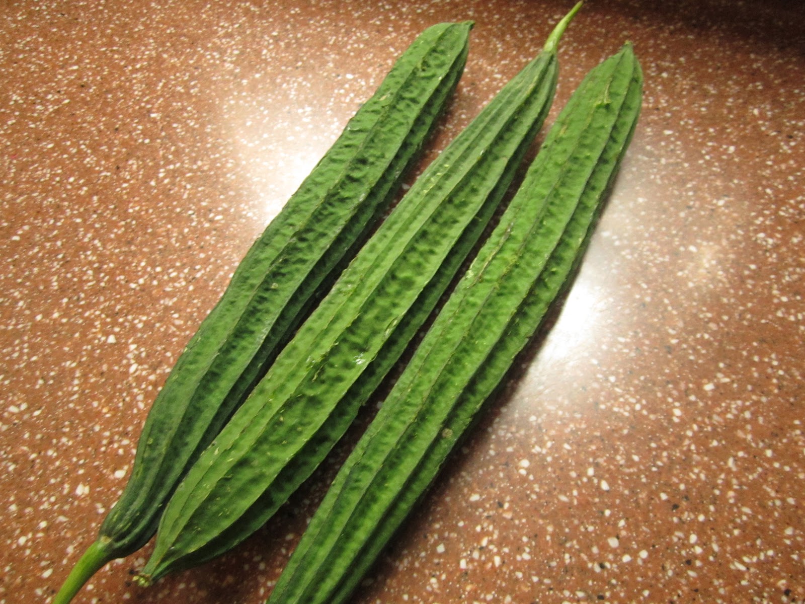 Seribu Satu Macam Sajian: petola masak lemak