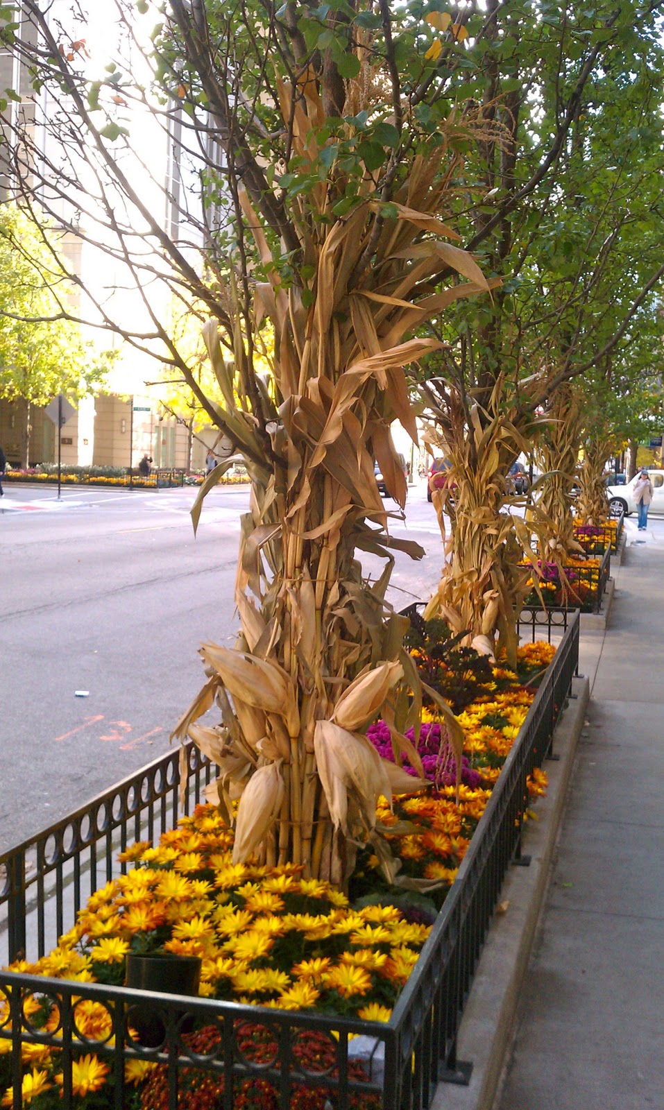 A Little Ditty: Chicago Sidewalk Planters: Fall 2011