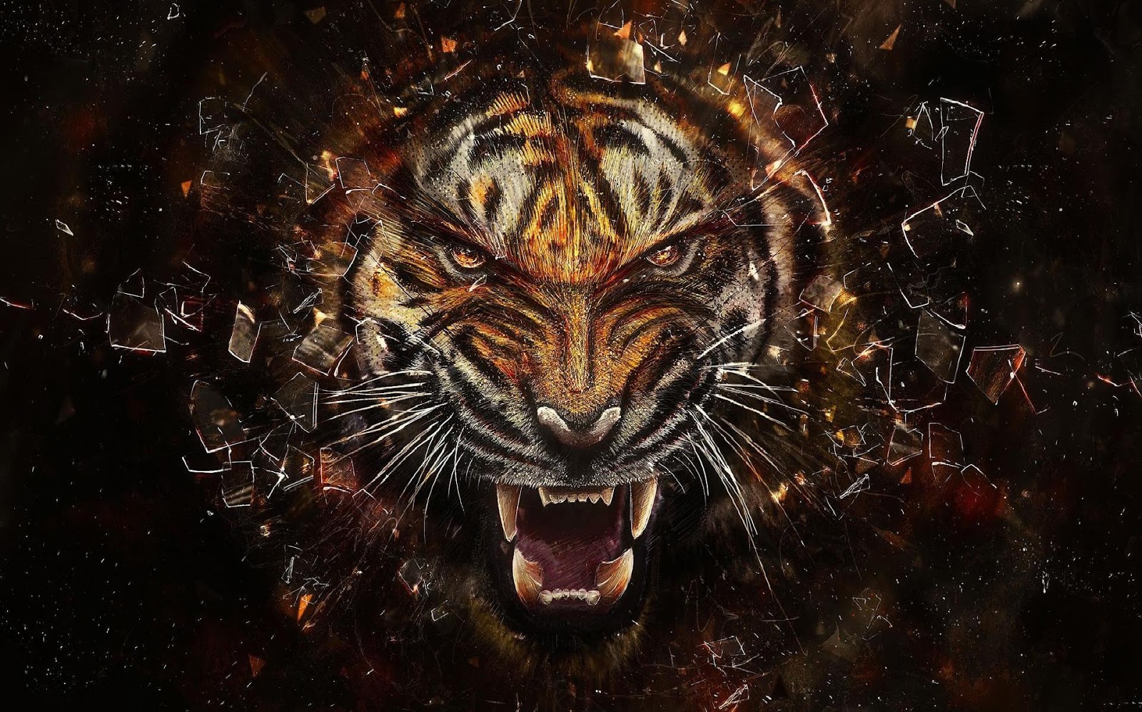 Tiger Rage | VK Wallpaperz