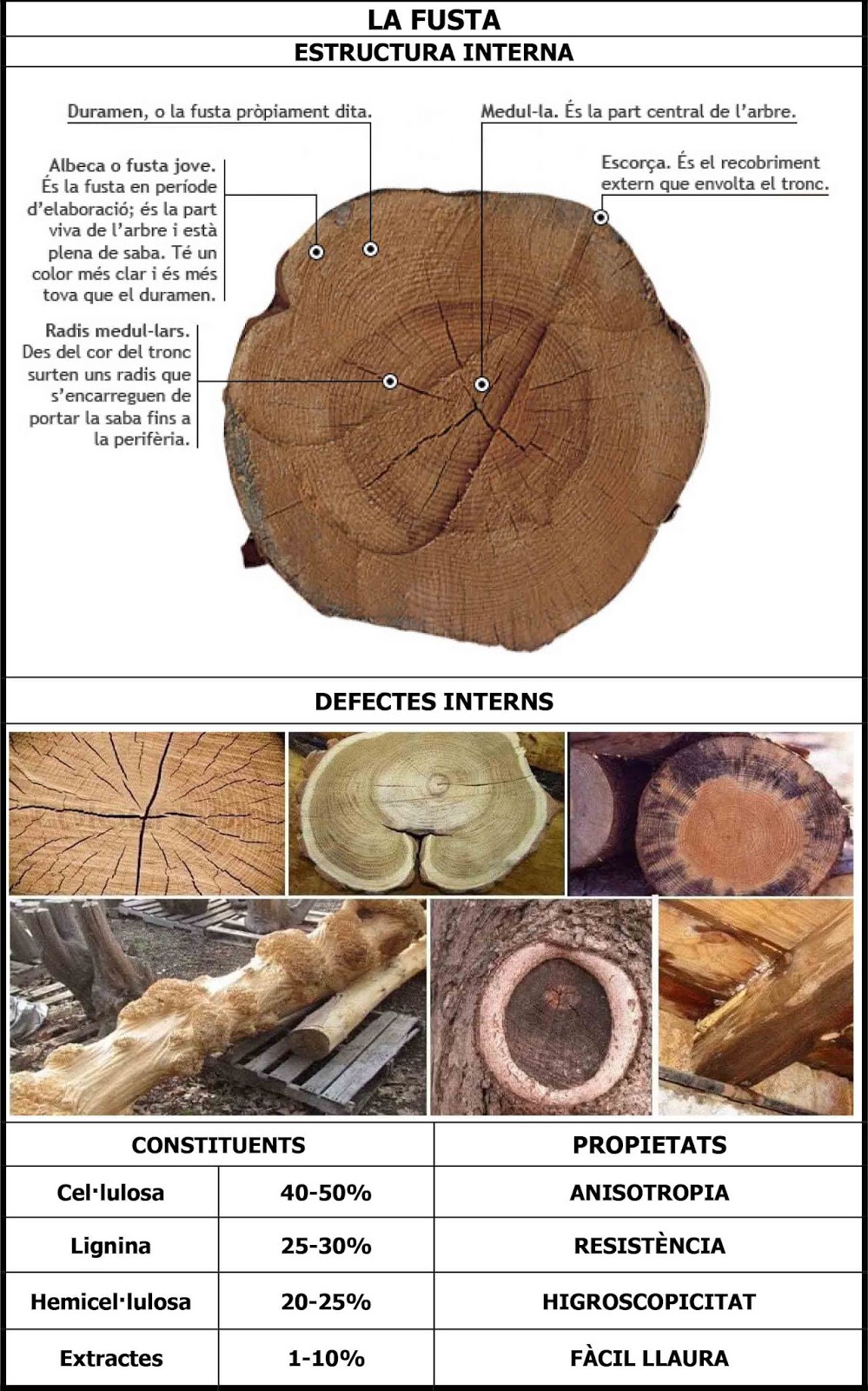 MATERIALS D’ÚS TÈCNIC: LA FUSTA: ESTRUCTURA INTERNA DE LA FUSTA
