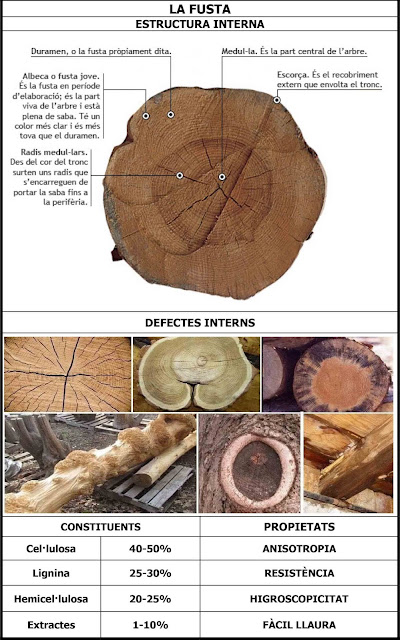 MATERIALS D’ÚS TÈCNIC: LA FUSTA: ESTRUCTURA INTERNA DE LA FUSTA