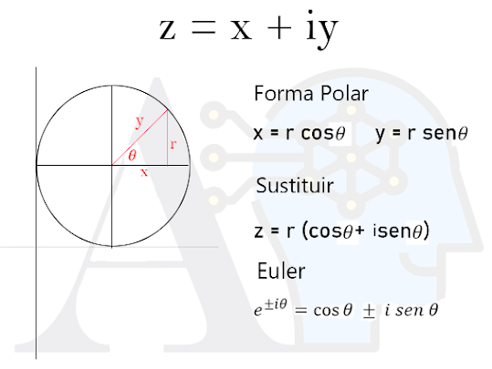 Autodidacta: Modulo, Forma Polar y Formula de Euler