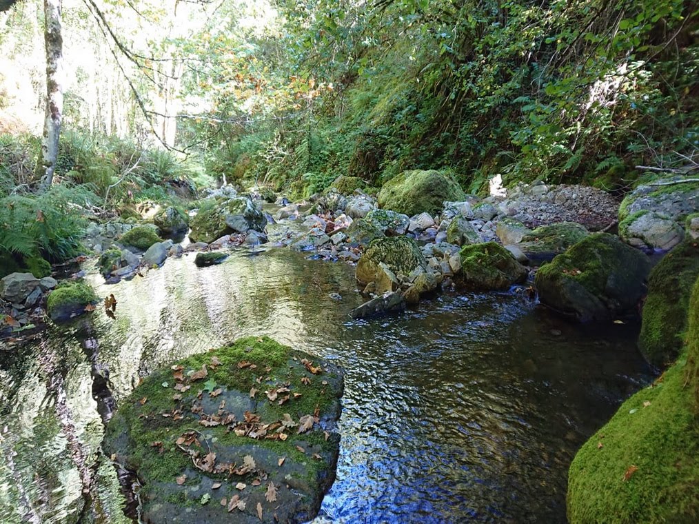 SALIDAS DE SENDERISMO ( VÍA VERDE DEL VASCO-NAVARRO Y SENDA FLUVIAL DEL ...