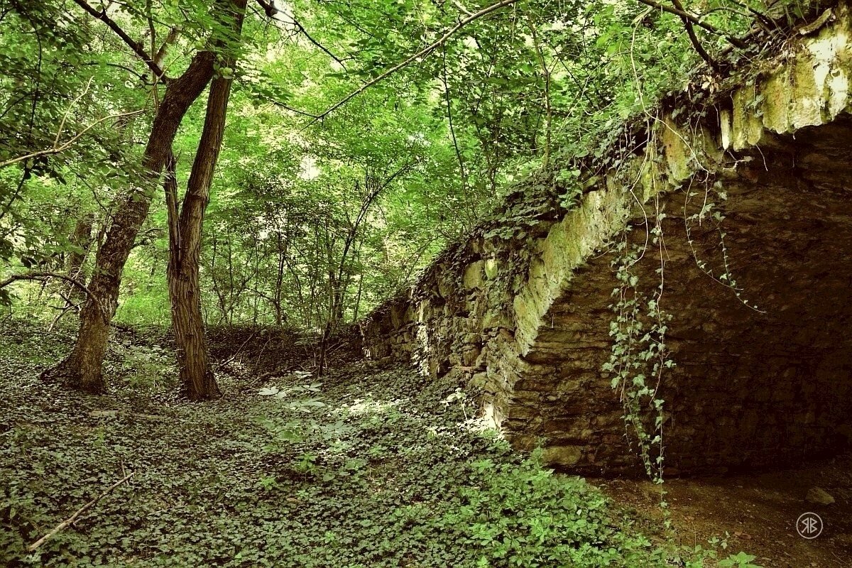 RB FOTOBLOG blogspot.sk: August 2016