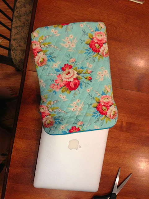 Hear Me Roar!: DIY Laptop Sleeve