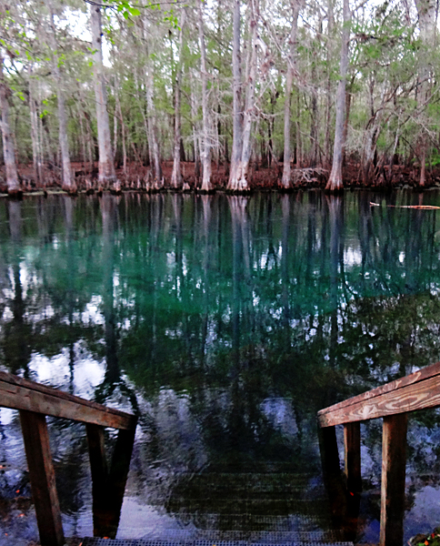 Visiting Manatee Springs State Park in Florida | Where My Feet Wander