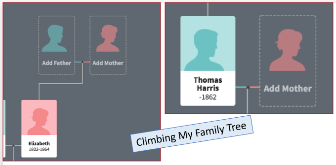 Climbing My Family Tree: Known and Unknown, Gone But Not Forgotten