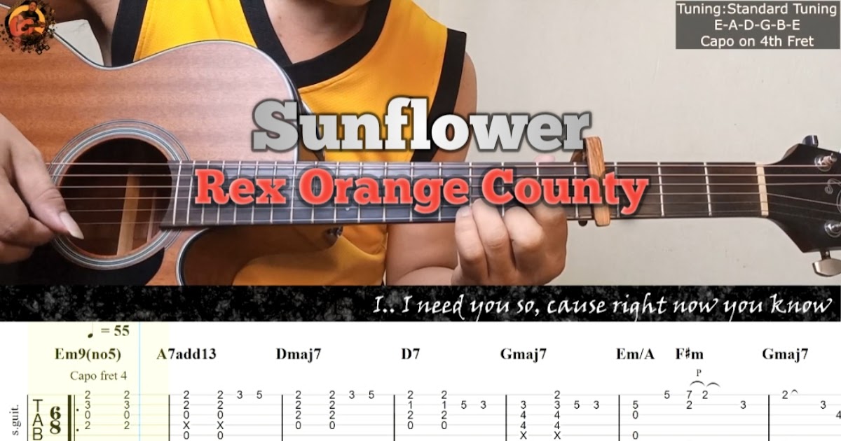 Sunflower - Rex Orange County Guitar Fingerstyle Tabs ~ Guitar ...