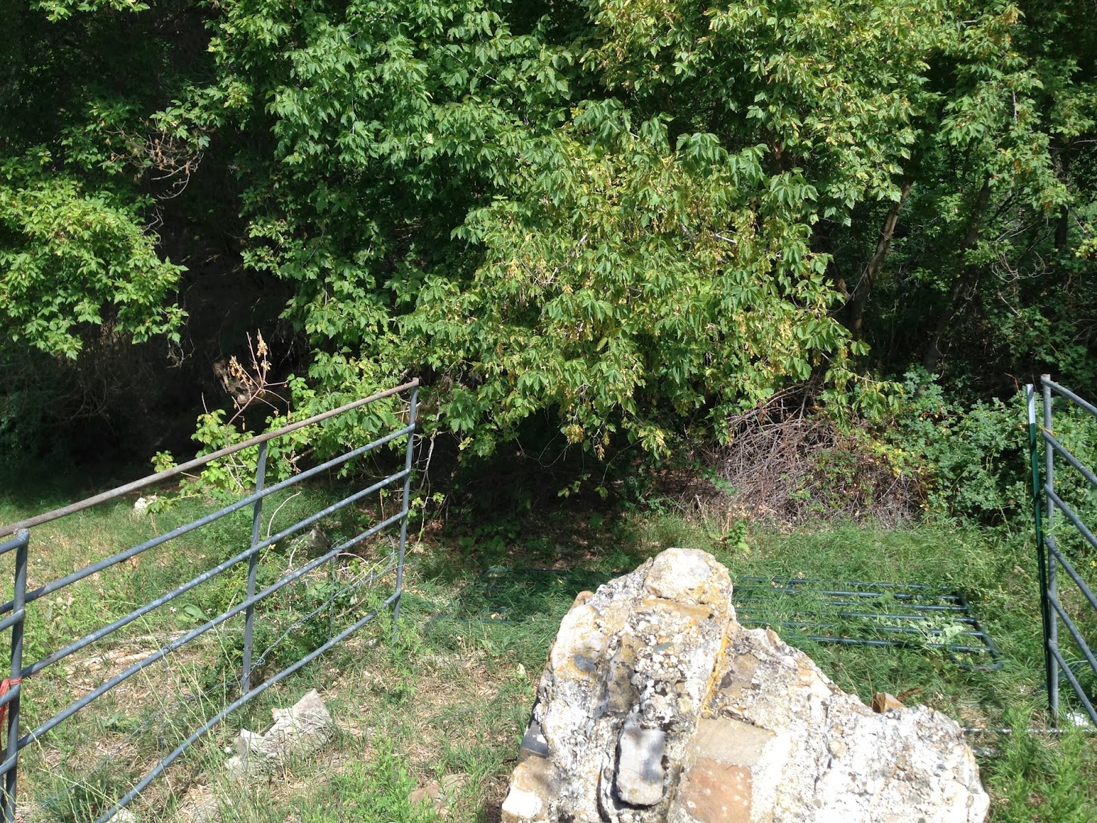 The Mystery of Kay's Cross: Photos