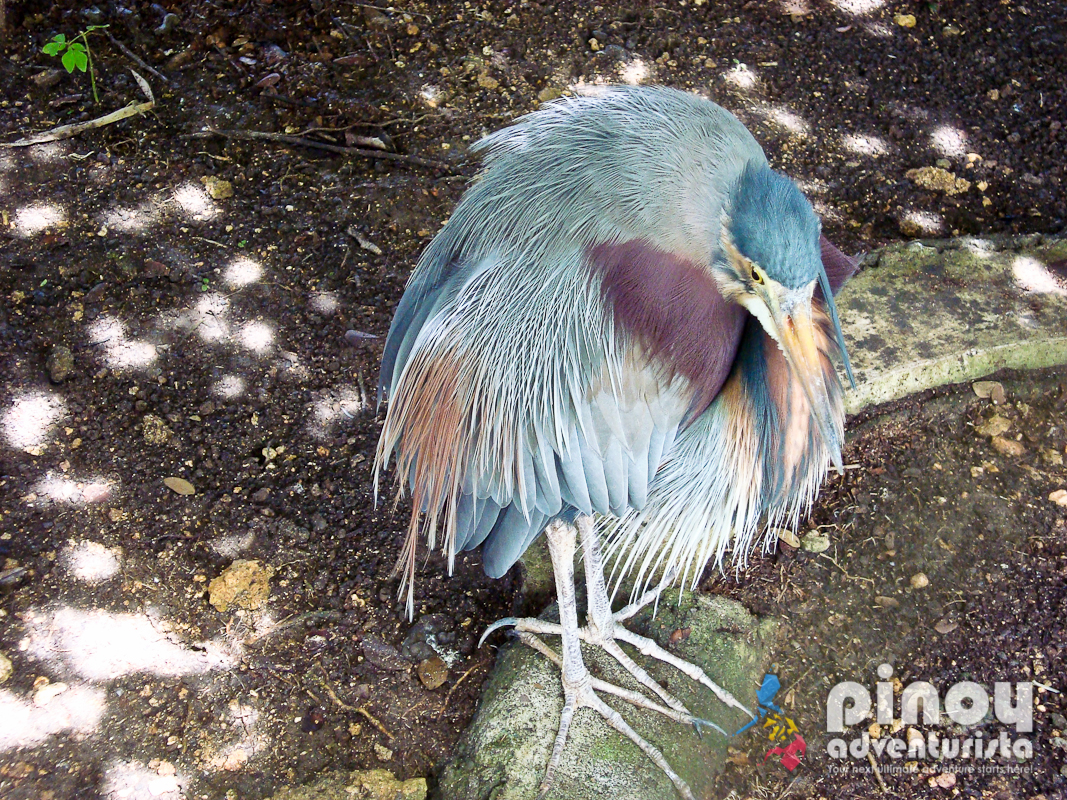 THINGS TO DO IN MAGUINDANAO - Finding Peace at Tamontaka Lourdes Grotto ...