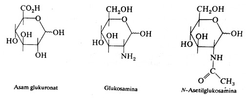 Mengenal Kitin dan Heparin