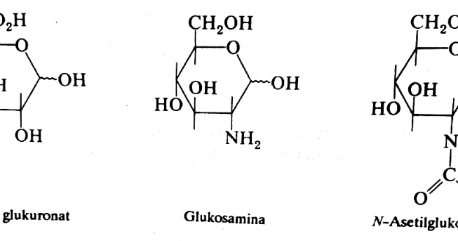 Mengenal Kitin dan Heparin