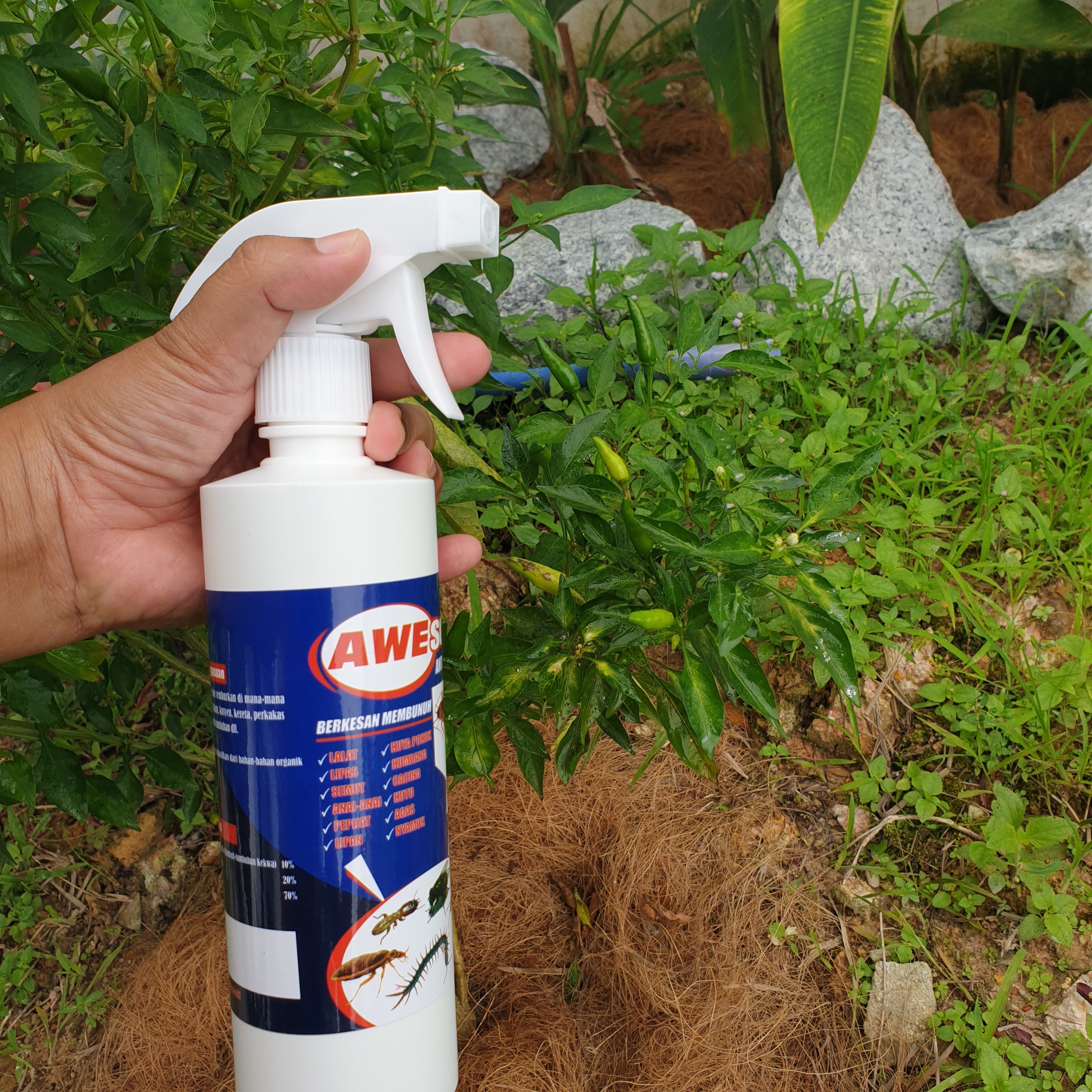 Awesome Spray - aziankhalil.com