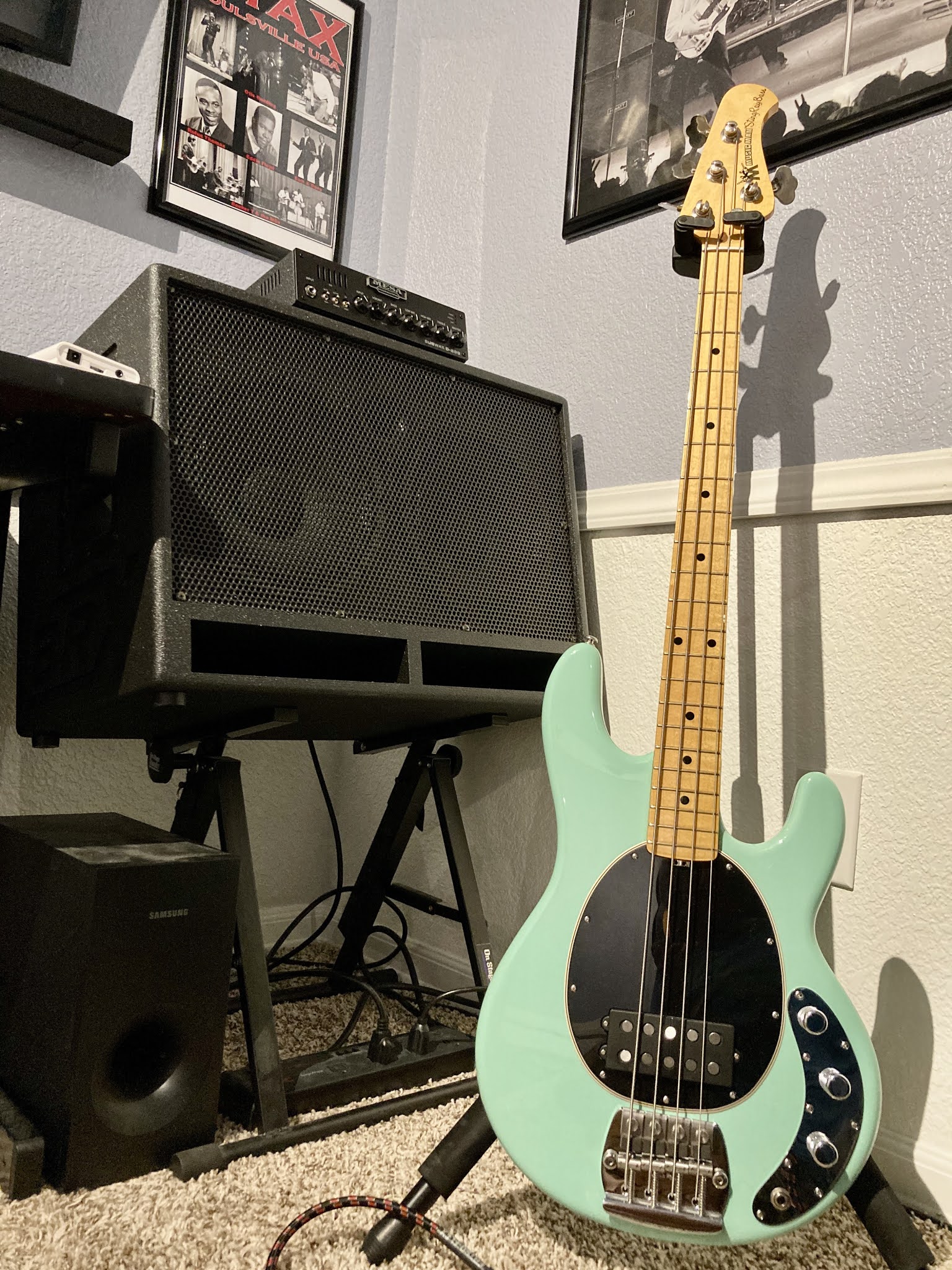Bass Guitar Adventures: Gear Review: Three Flavors of Stingray Basses