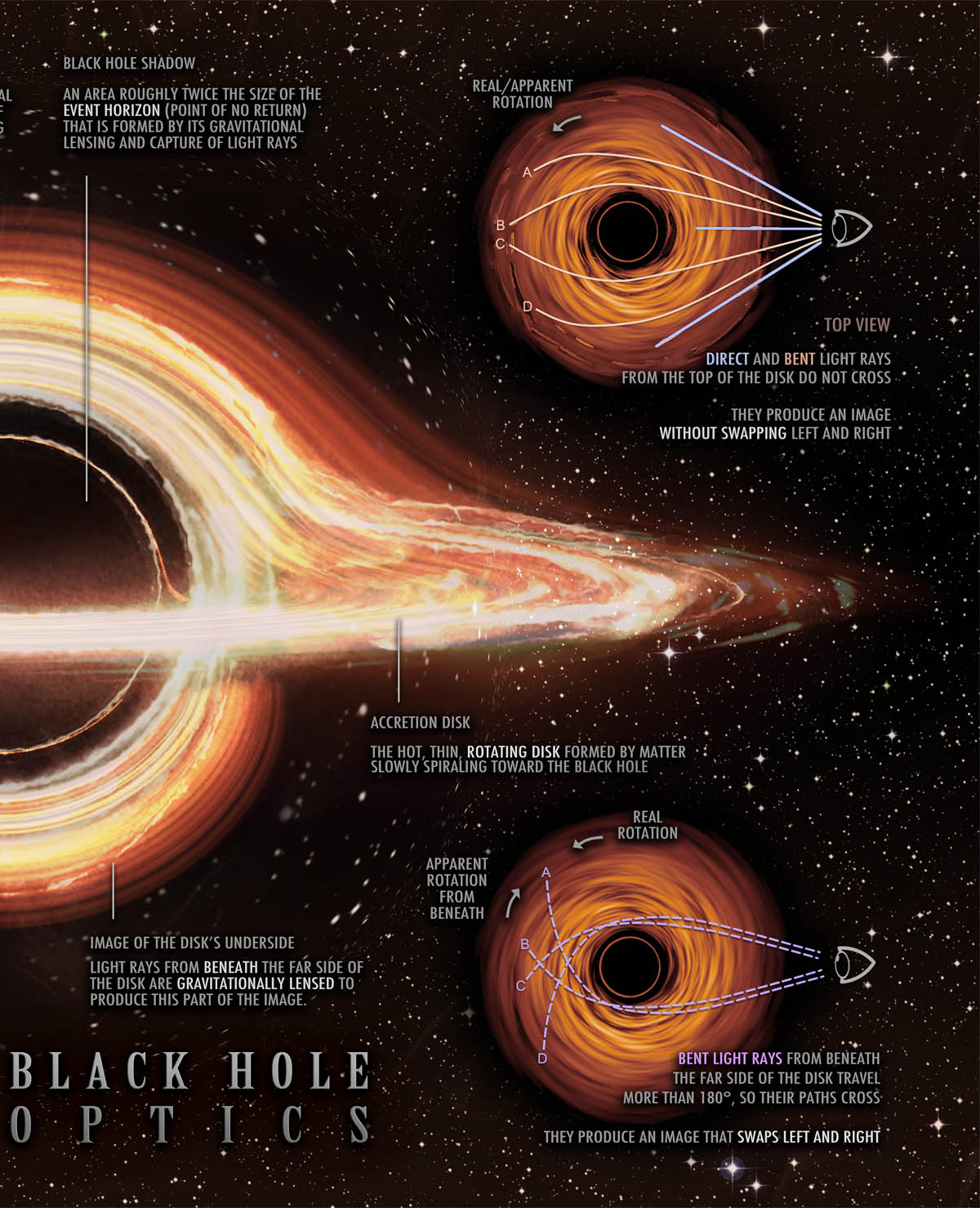 Black Hole infographics - Pablo Carlos Budassi