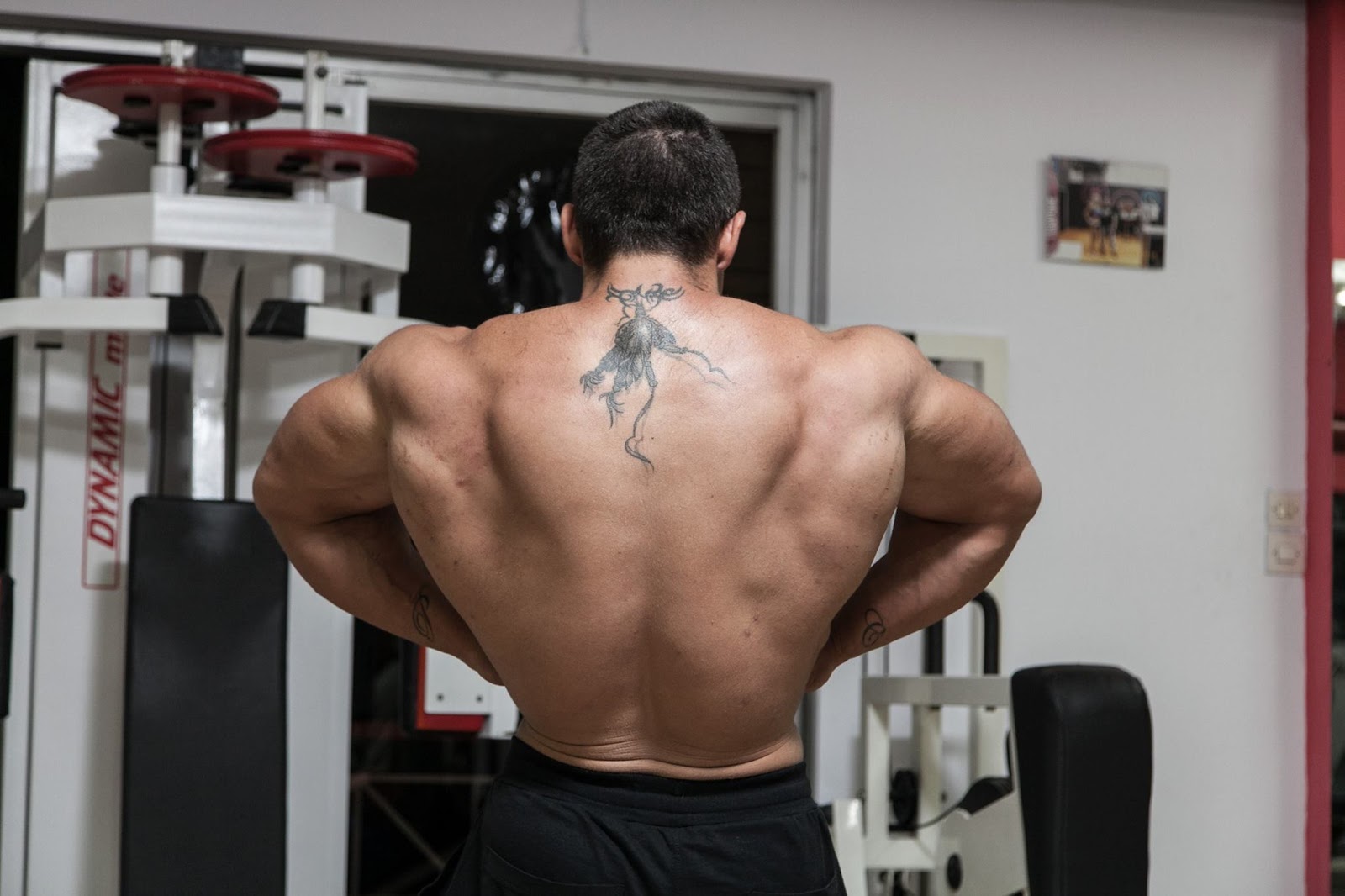 Greek Bodybuilders: Χρίστος Πιστόλας - Christos Pistolas off season ...