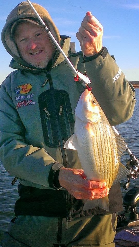 Humdinger Lures: Testimonials & Tips