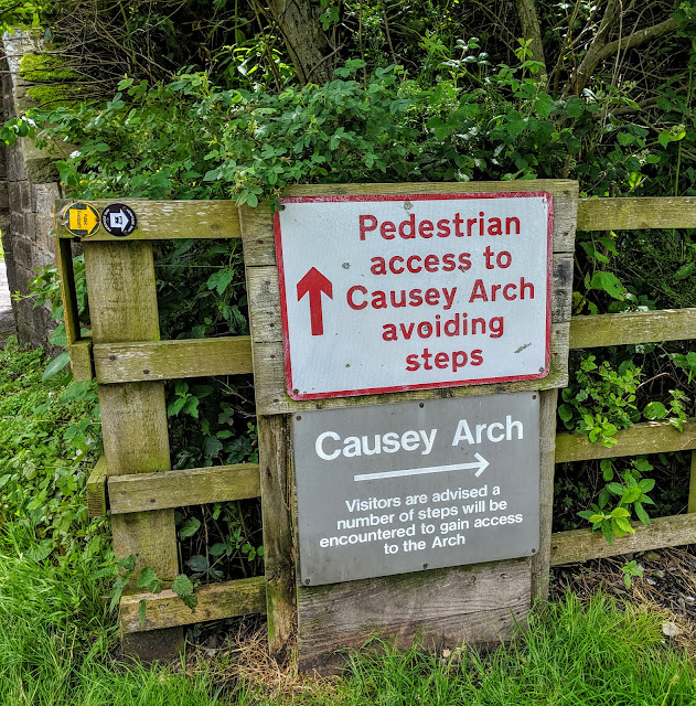 Causey Arch Picnic Area, Tea Room & Walk | North East Family Fun