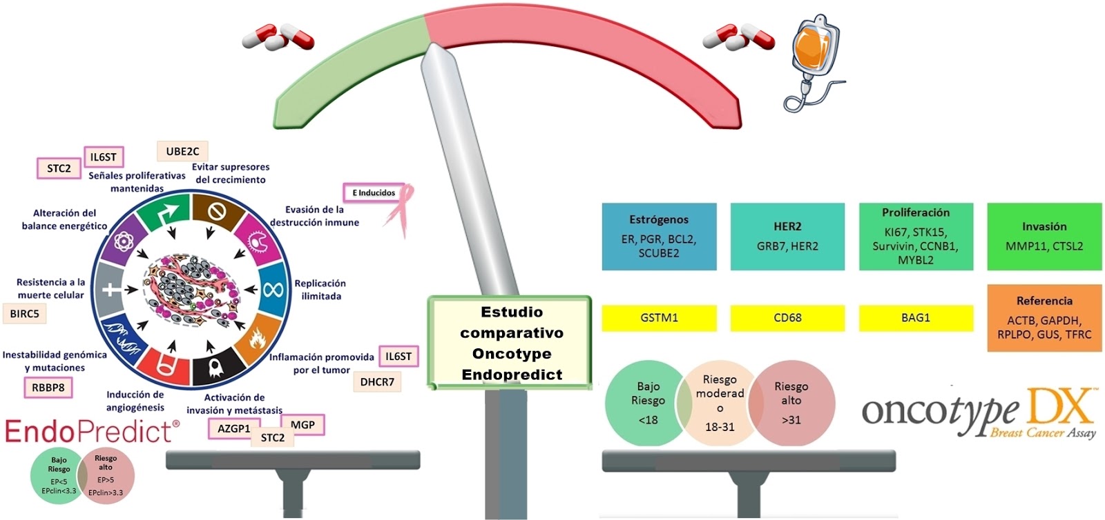 ESTUDIO COMPARATIVO ONCOTYPE-ENDOPREDICT DURANTE LA IMPLANTACIÓN DE LA ...